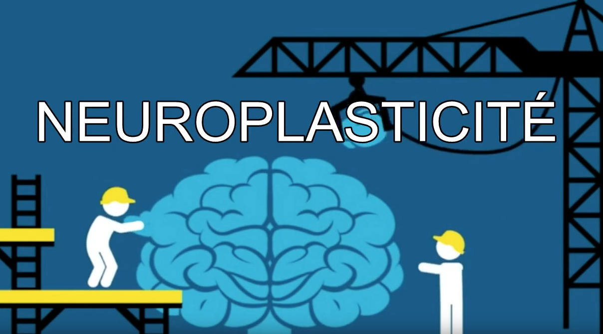 La neuroplasticité expliquée en 2 minutes : un bel espoir d’évolution ...