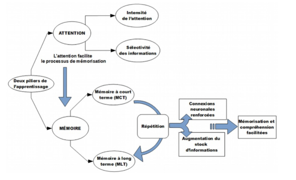 Les clés pour apprendre à apprendre (PDF gratuit) – Ado Zen